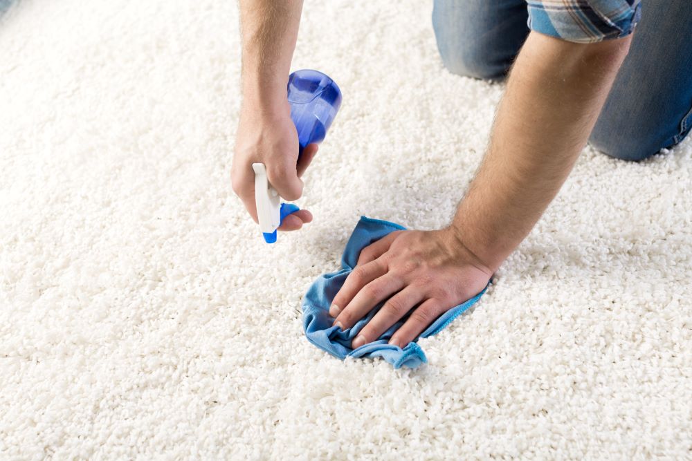 How to Clean and Maintain Carpet Flooring – Tapis André Viau
