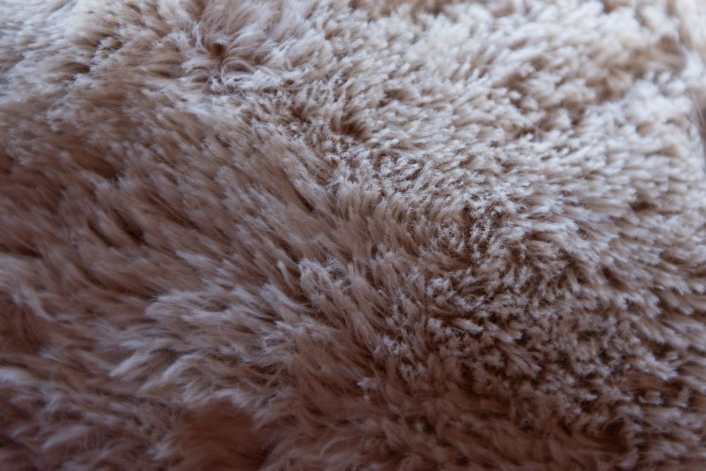 Les avantages et inconvénients de la moquette - Tapis André Viau